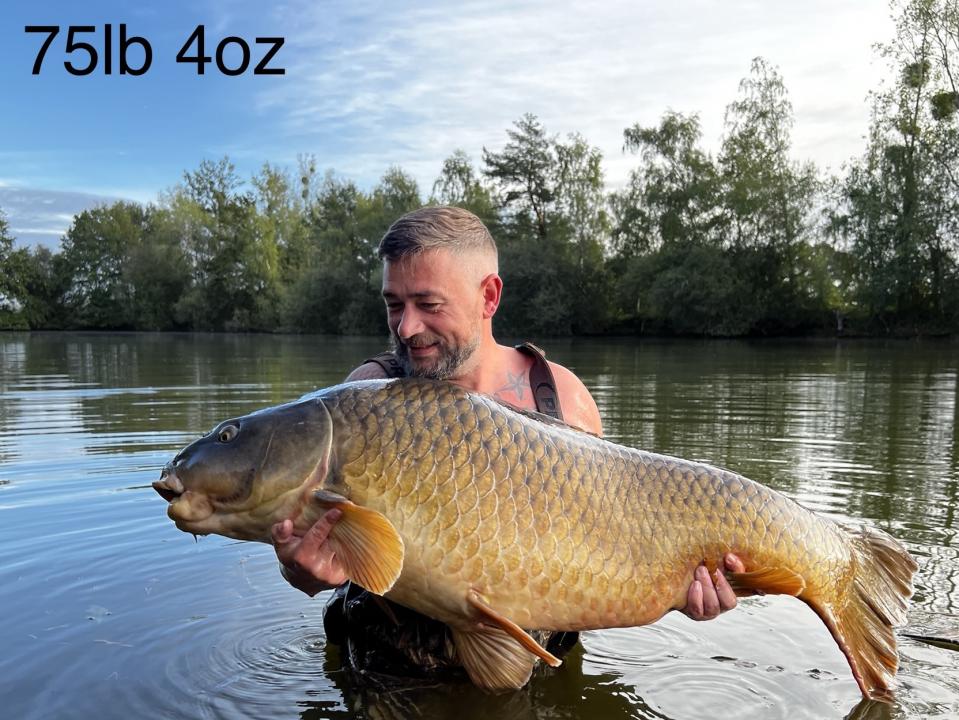 PB common | Total Carp